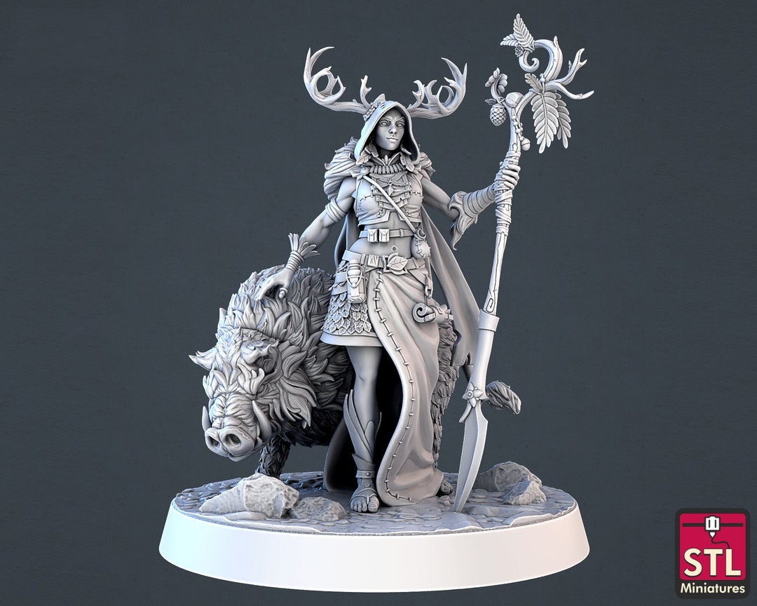 Elf Druid Miniature | Female Elf Druid With Companion Miniature | for D ...