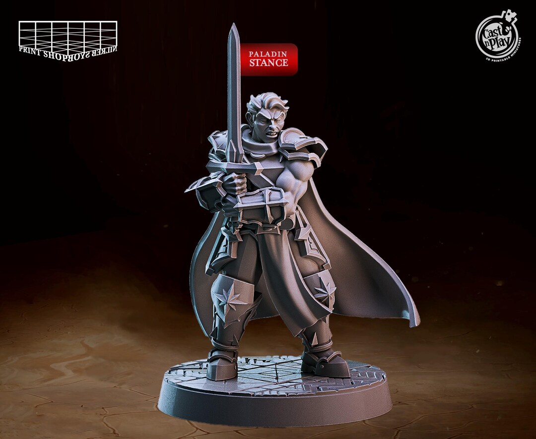 Human Paladin Sword Fighter Miniature | Blessed Champion Figure ...