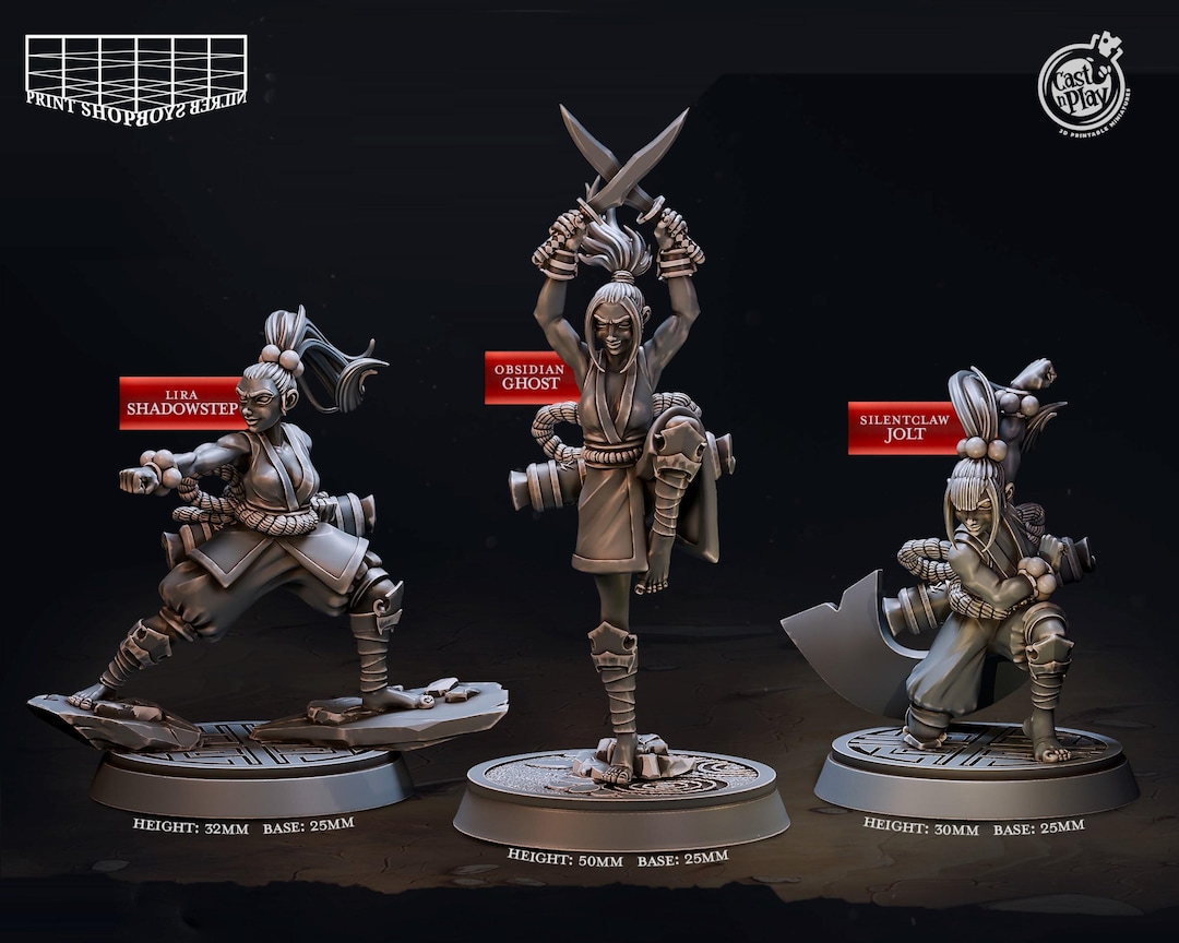 Monk Fighters Miniature Set Female Shadow Monks Figure Pack Asian ...