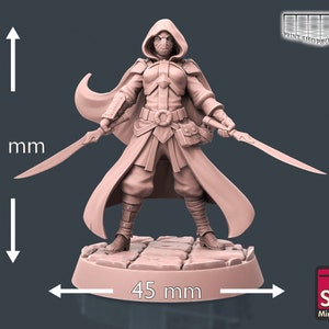 Rogue the Assassin Miniature Male Assassin Rogue Miniature Heroic ...