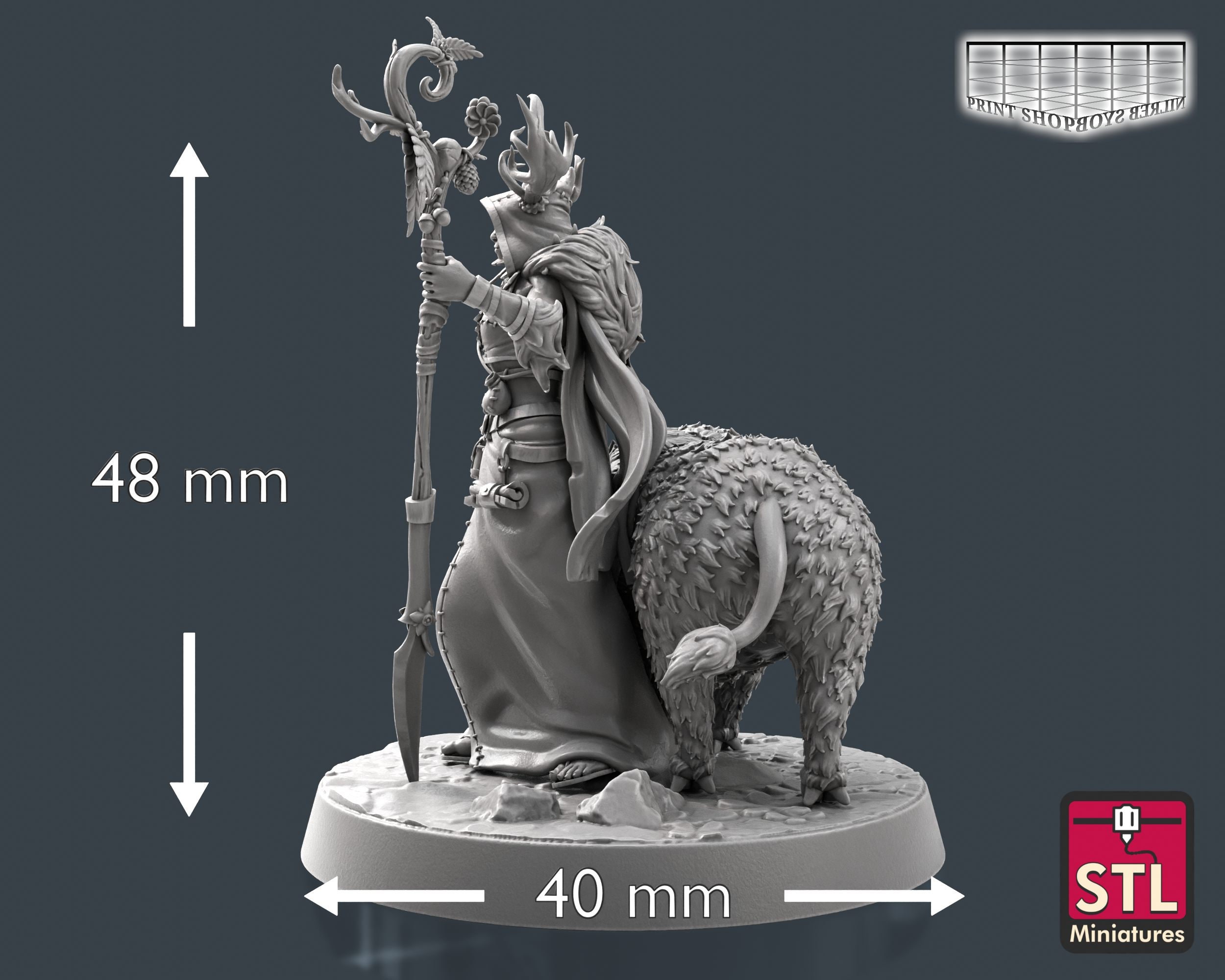 Elf Druid Miniature | Female Elf Druid With Companion Miniature | for D ...