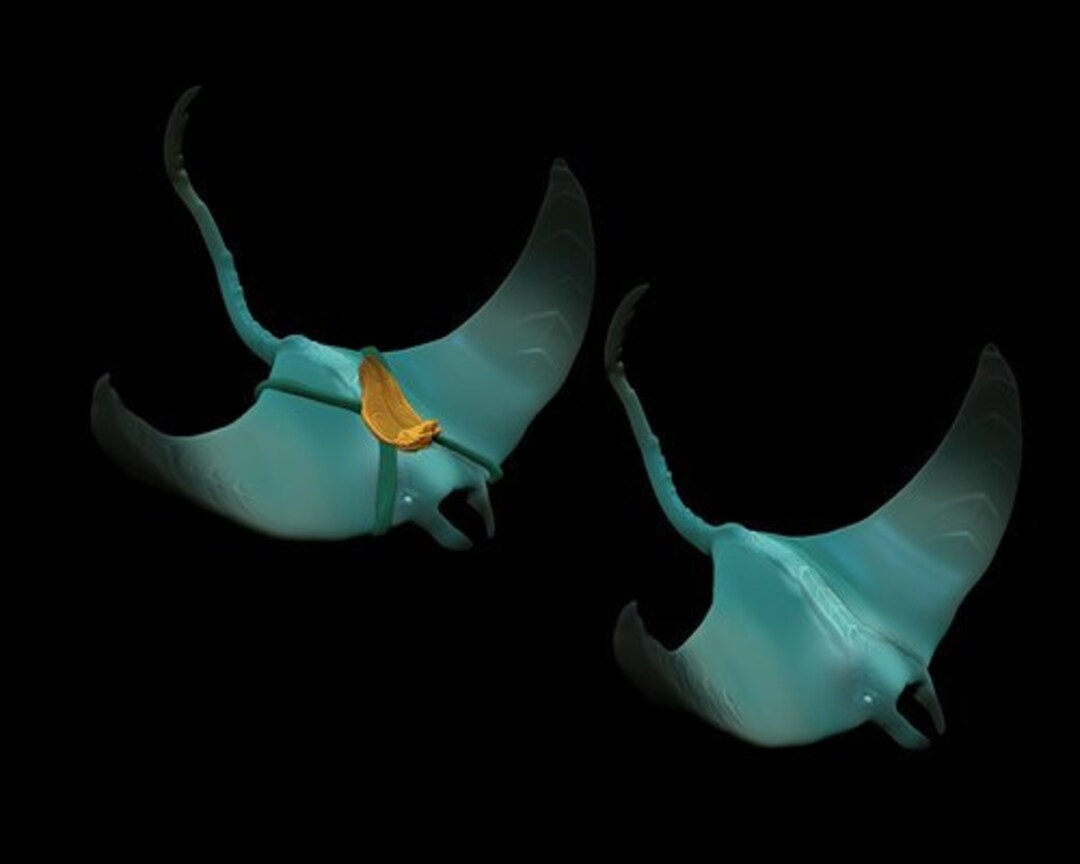 Manta Ray Miniature Manta Ray Mount Miniature Tabletop Rpgs Like D&D or ...