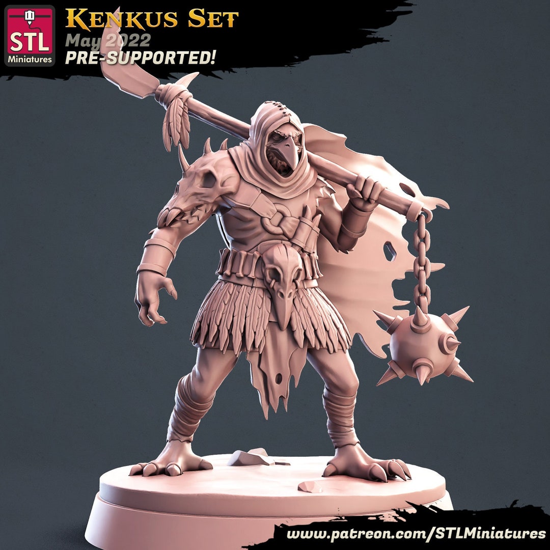 Birdfolk Cleric Miniature | Bird Death Cleric | Heroic Character | STL ...