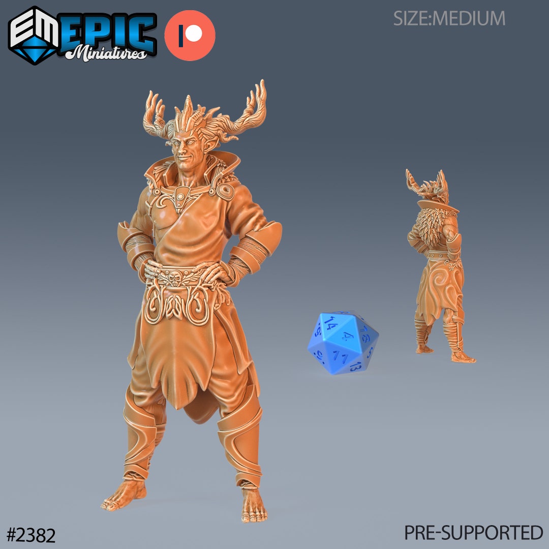 Archdruid Miniature Archdruid Miniature for D&D 5e, Pathfinder and ...