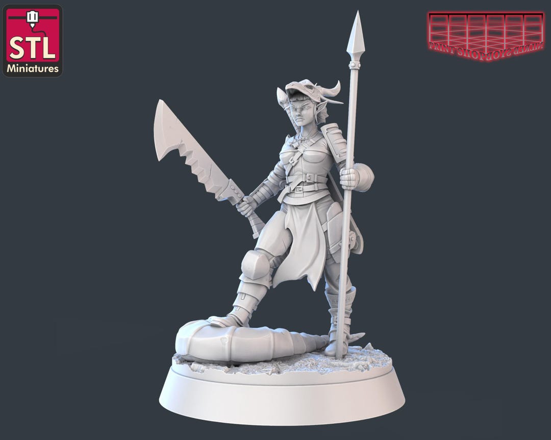 Young Elf Paladin Miniature | Female Cleric With Dragon Sword Figure ...