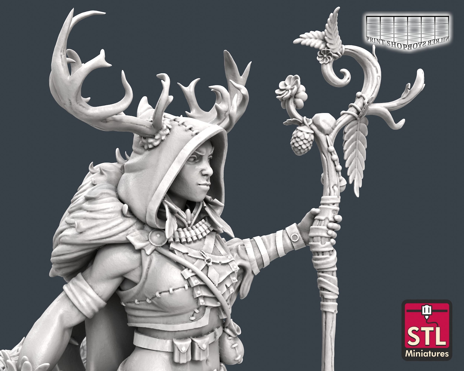 Elf Druidin Miniatur | Female Elf Druid with Companion Miniature | for ...