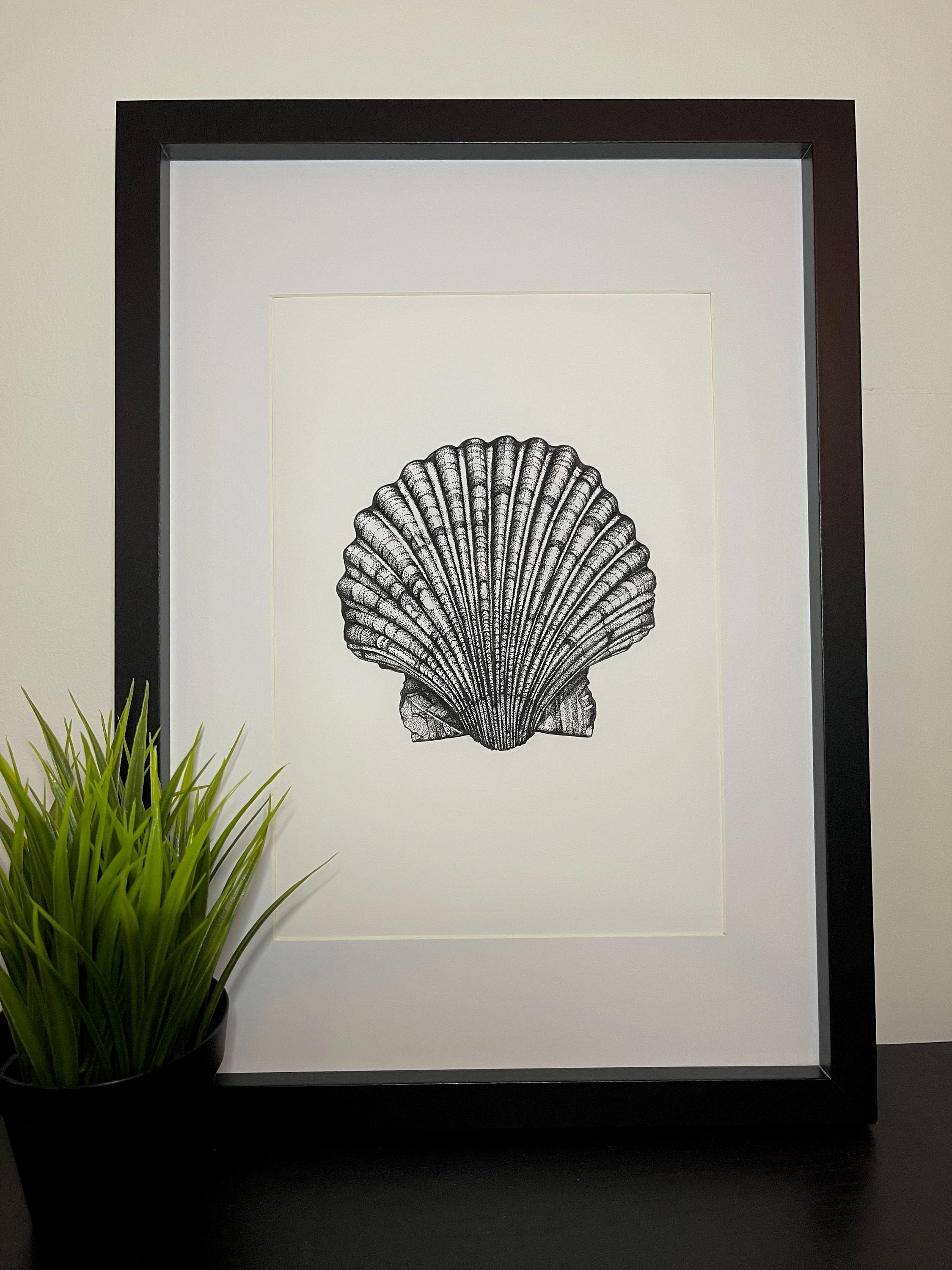 Scallop Seashell - Pointillism, Illustration, Dot Work, Stippling, A4 ...