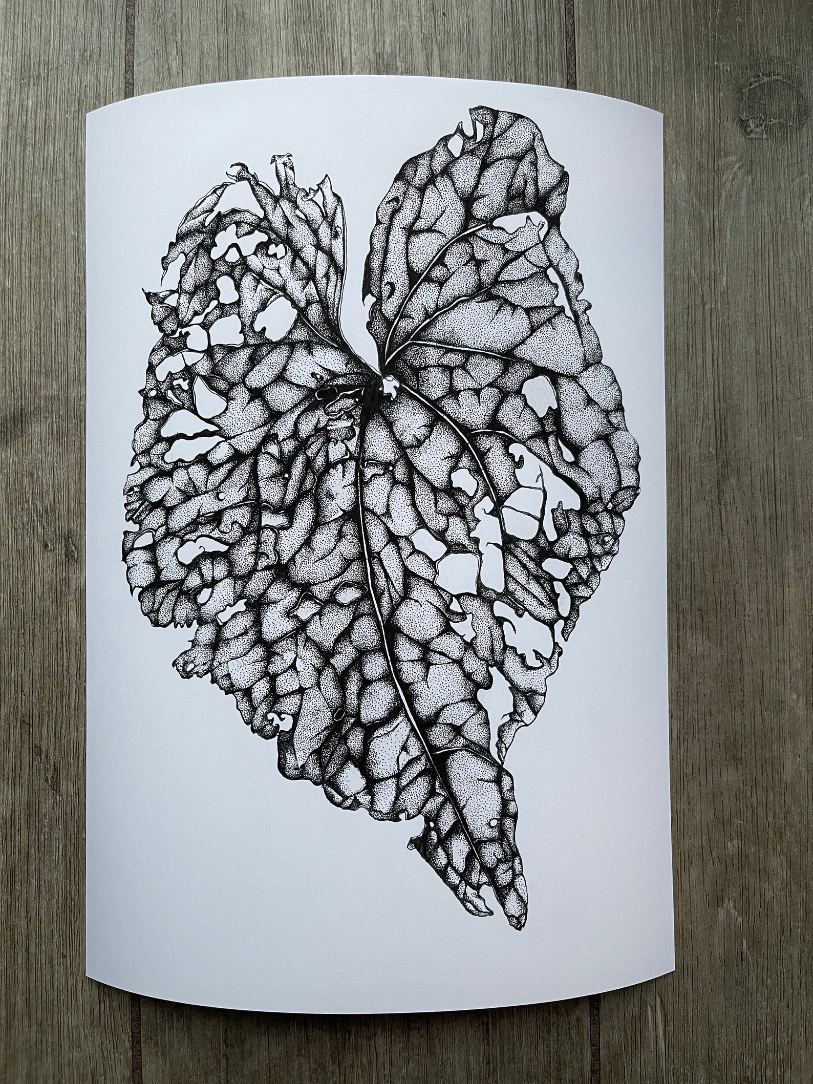 Garden Leaf Heart Illustration, Dot Work, Stippling, A4 Prints - Etsy