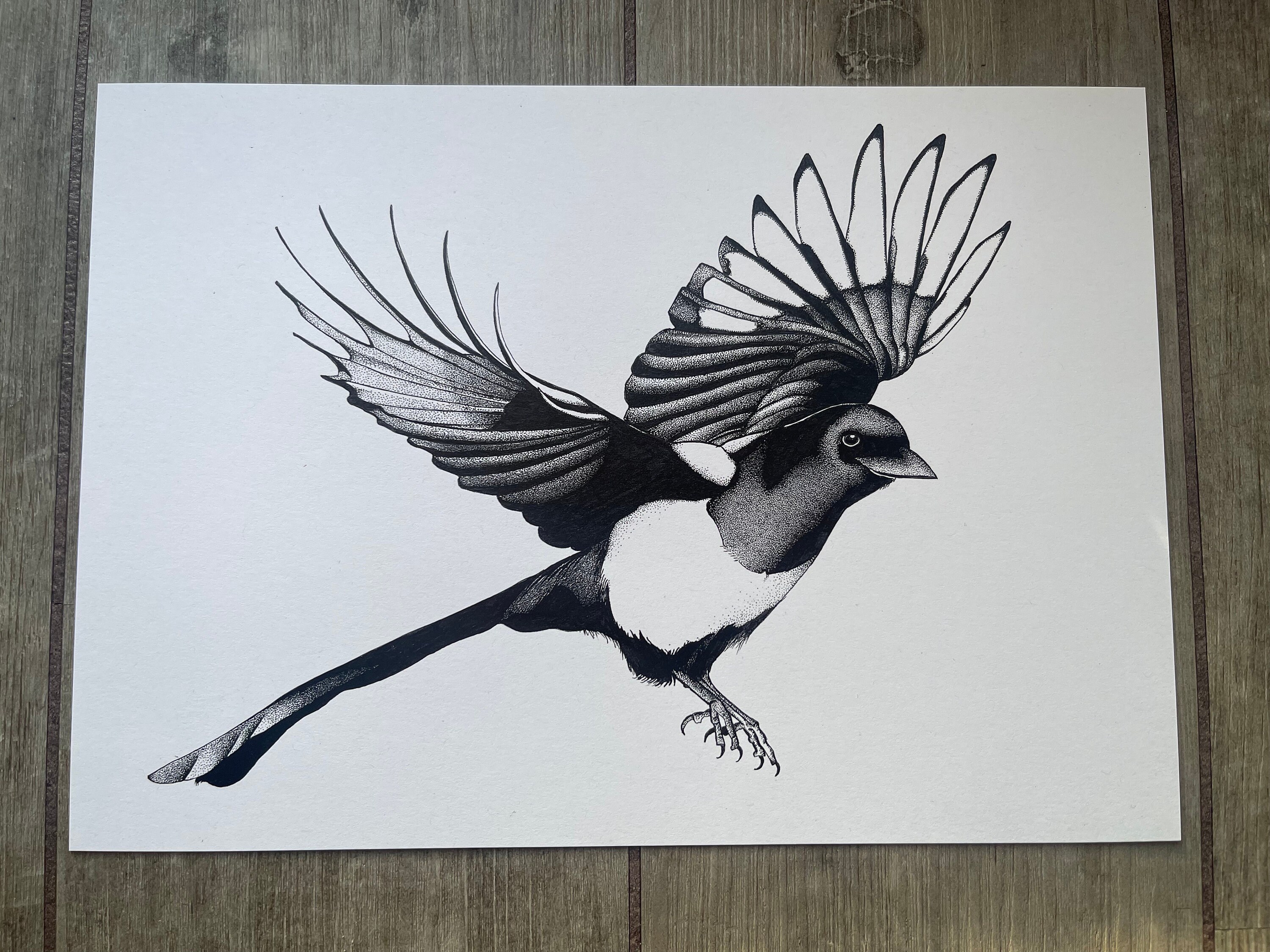 Maggie the Magpie Dot Art, Bird Illustration, Dot Work, Stippling ...