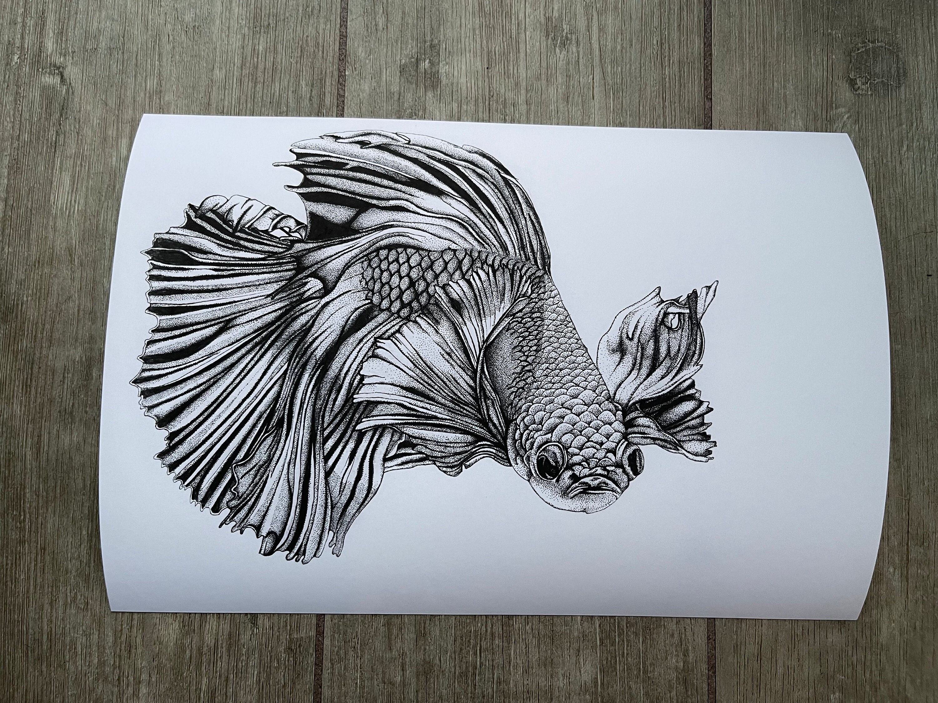 Siamese Fighting/betta Fish - Pointillism, Illustration, Dot Work ...