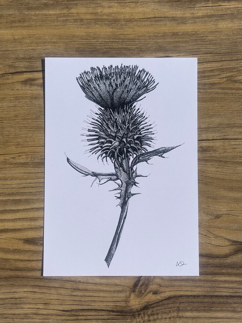 Scottish Thistle Dot Art, Digital Art, Stippling, A5 Prints ...