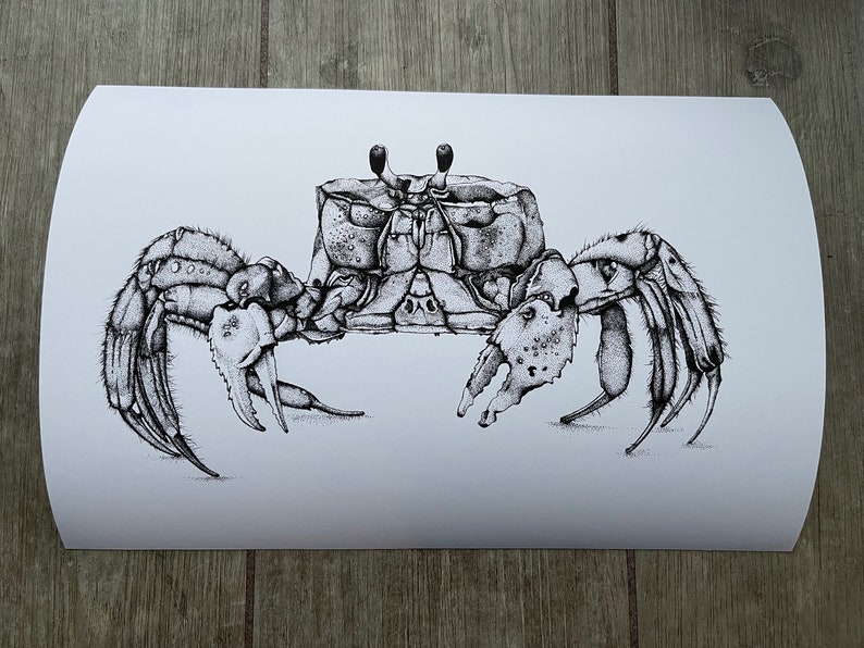 Crab - Pointillism, Illustration, Dot Work, Stippling, A4 Print - Etsy