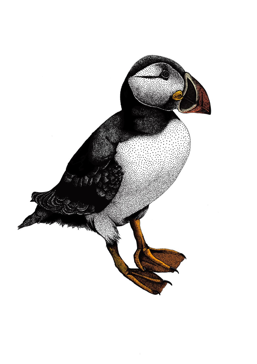 Puffin - Illustration, Pointillism, Stippling, Dots, A4 Print, Digital ...