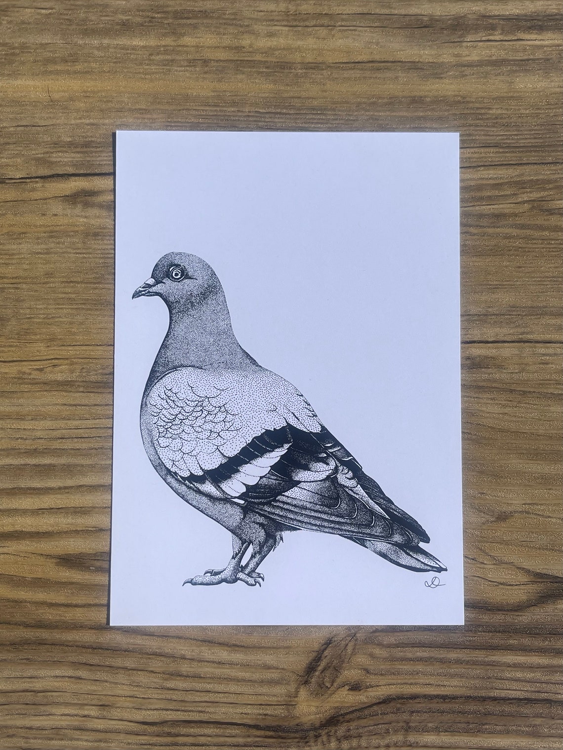 Pigeon - Pointillism, Bird Art, Dot Art, Stippling, A5 Print ...