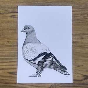 Pigeon - Pointillism, Bird Art, Dot Art, Stippling, A5 Print ...