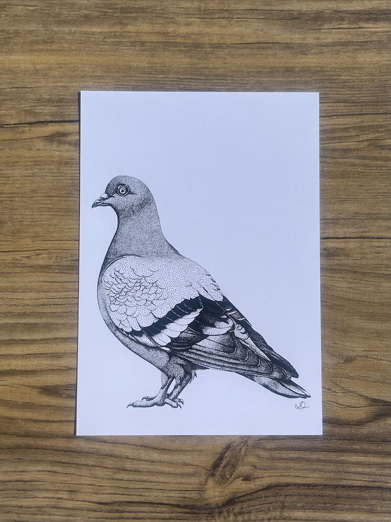Pigeon - Pointillism, Bird Art, Dot Art, Stippling, A5 Print ...