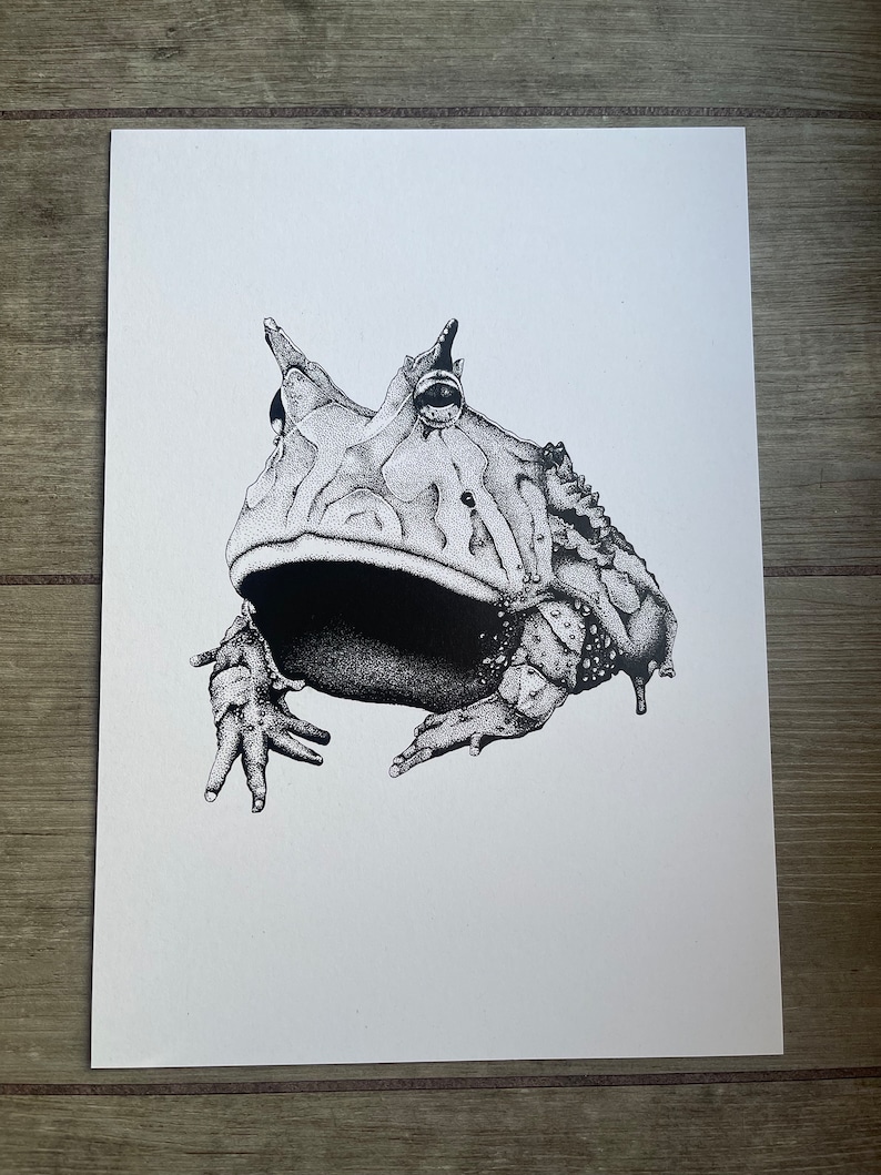 Grumpy Toad Illustration, Dot Art, Pointillism, Stippling, Toads, A4 ...