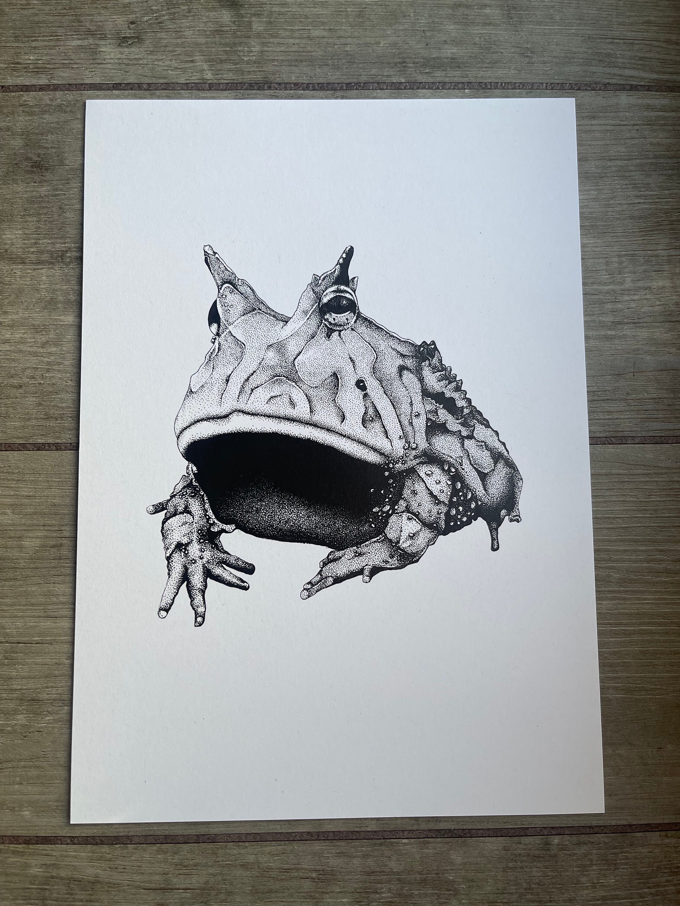 Grumpy Toad Illustration, Dot Art, Pointillism, Stippling, Toads, A4 ...