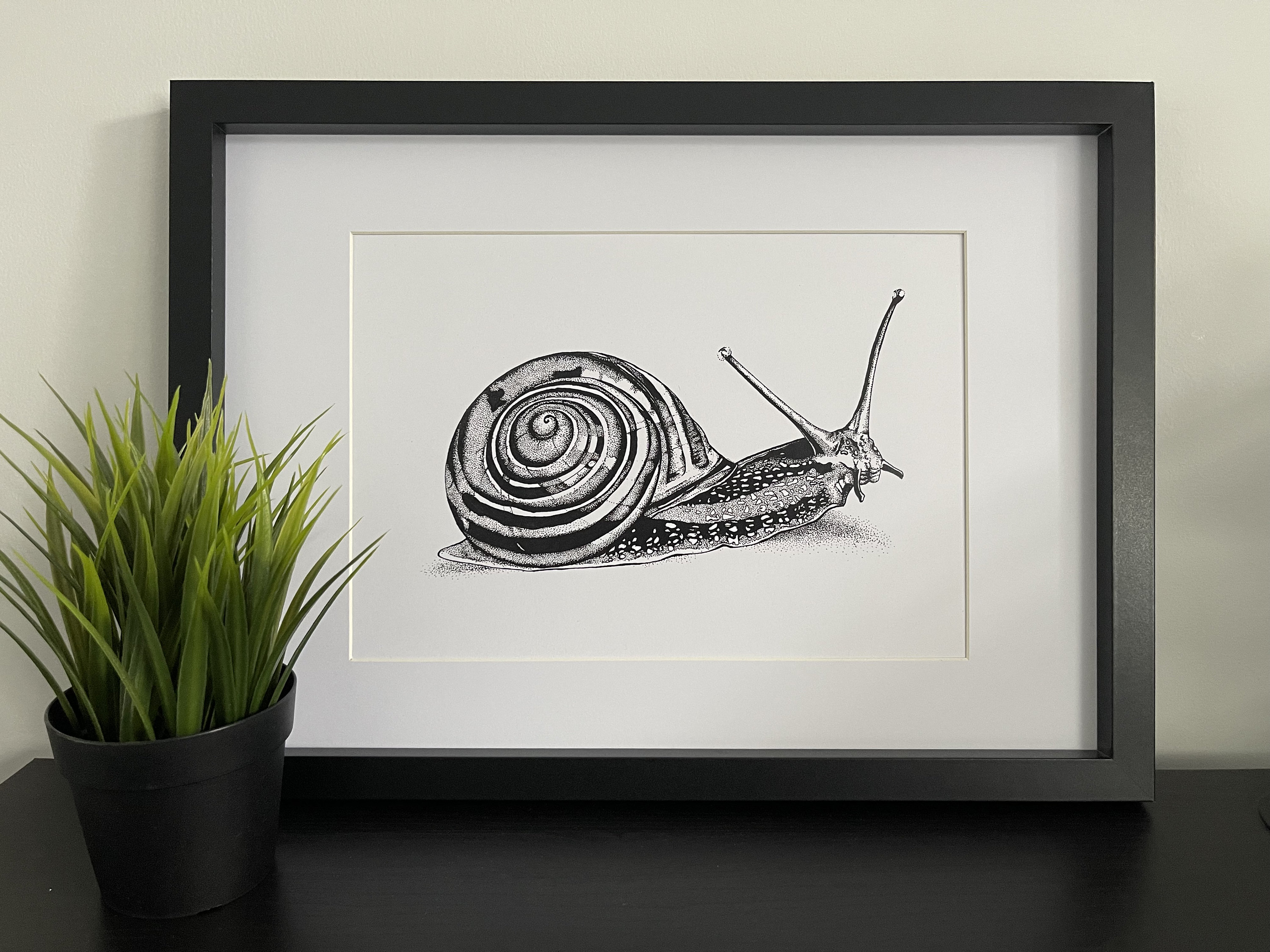 Garden Snail - Pointillism, Illustration, Dot Work, Stippling, A4 Print ...