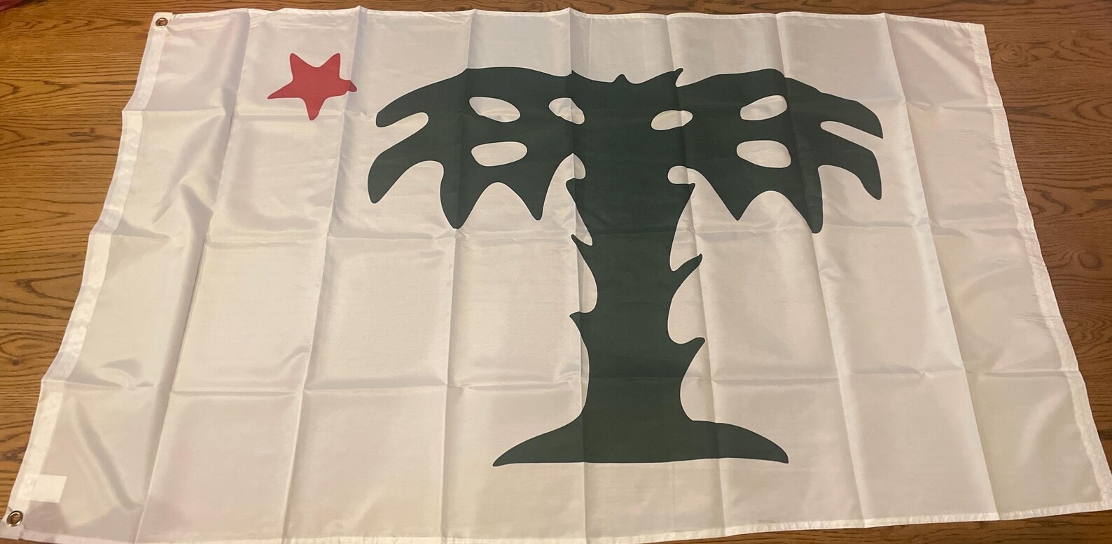 South Carolina State Flag: Historic Palmetto Tree Design With Grommets ...