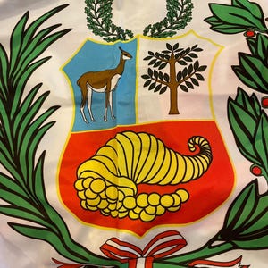 Peru Country Printed Flag: 3x5ft With Brass Grommets - Etsy