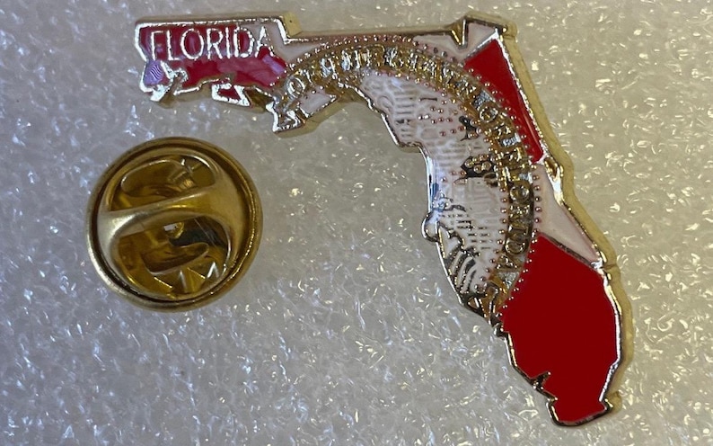 USA & Florida State Flag Lapel Pin Hand Stamped and Baked Finished ...