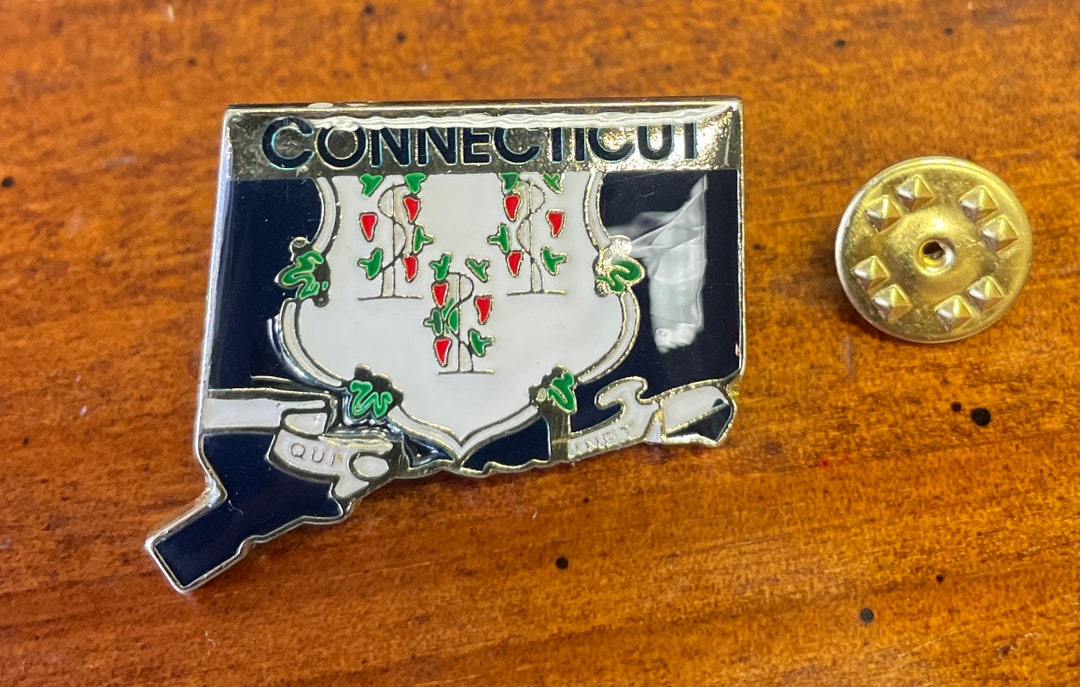 Connecticut State Map Lapel Pin and Connecticut State Flags Pick the ...