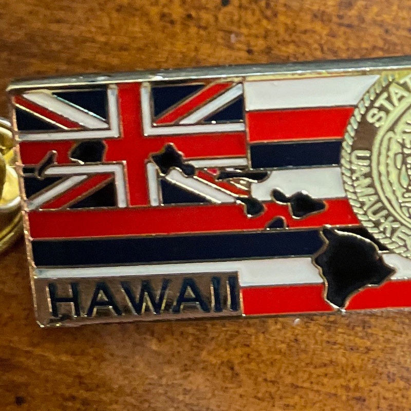 Hawaii Pin - Etsy