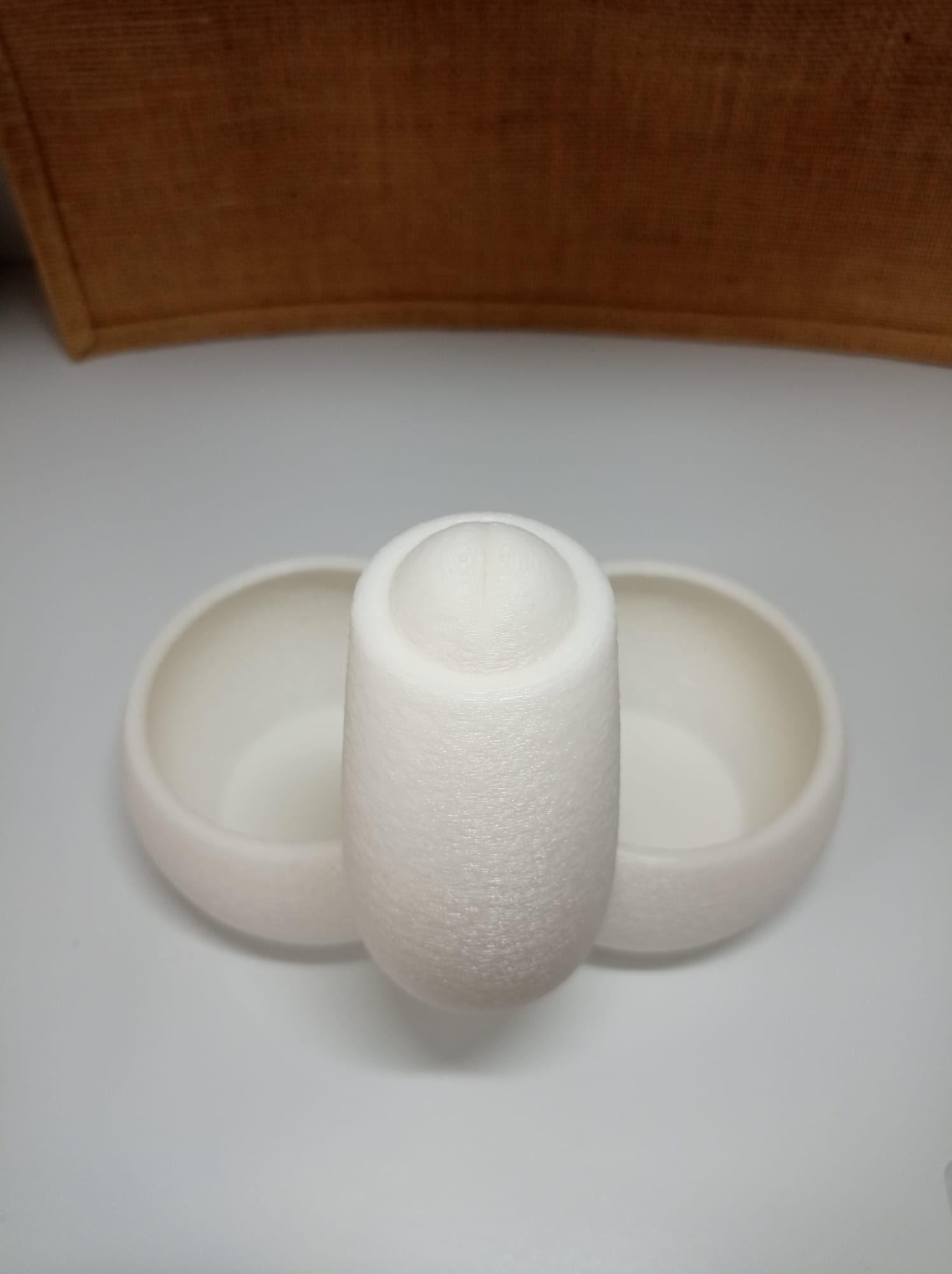 Penis Succulent Planter | Penis Pot or Treasure/jewelry Container - Etsy