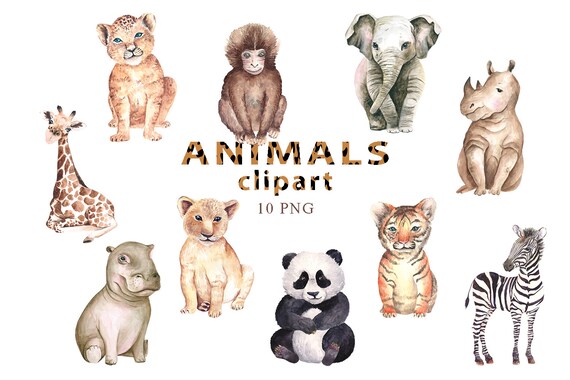 Animals PNG Watercolor Jungle Baby Clipart Safari Nursery - Etsy