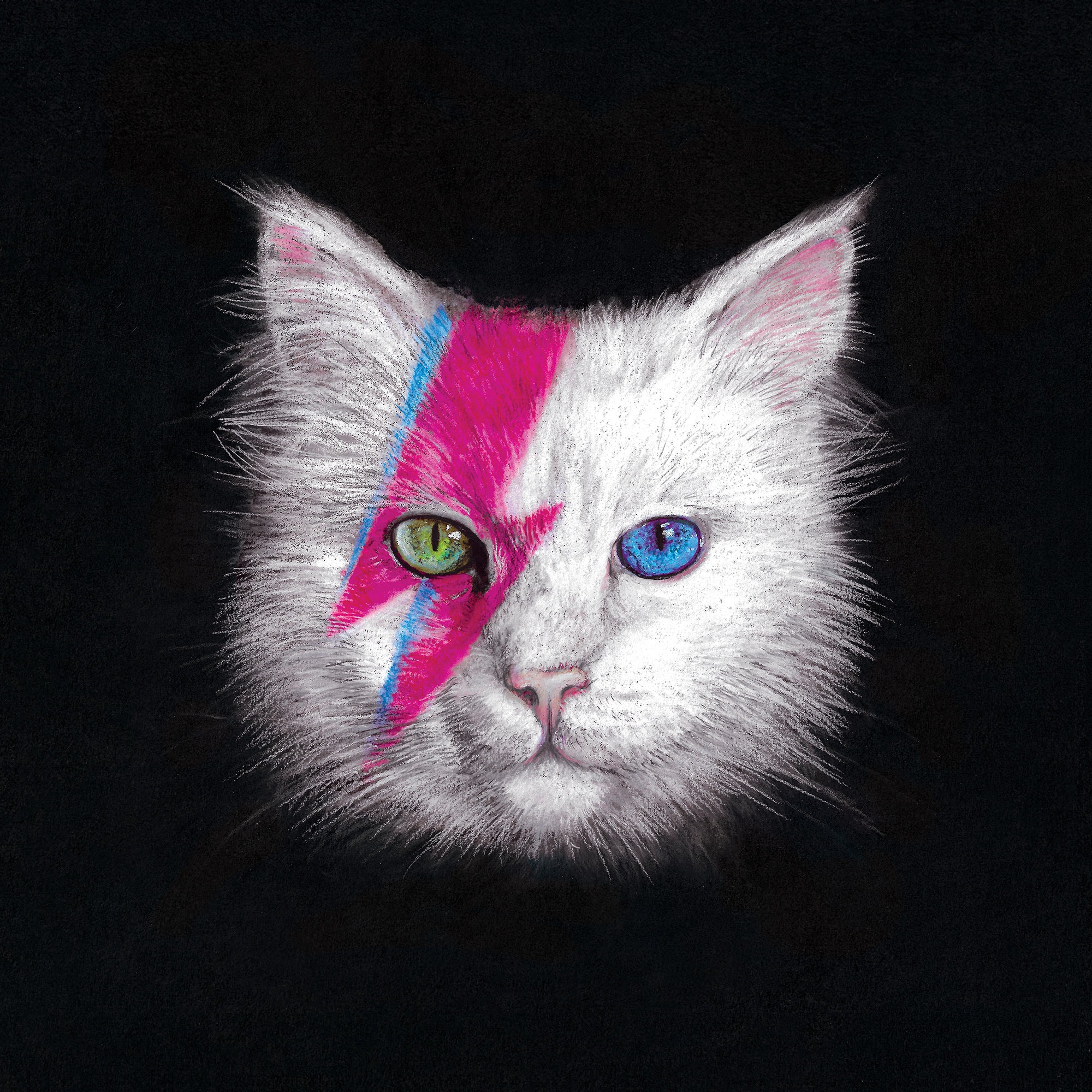 David Meowie Glam Cat Wall Art Print Black Red Blue - Etsy Canada