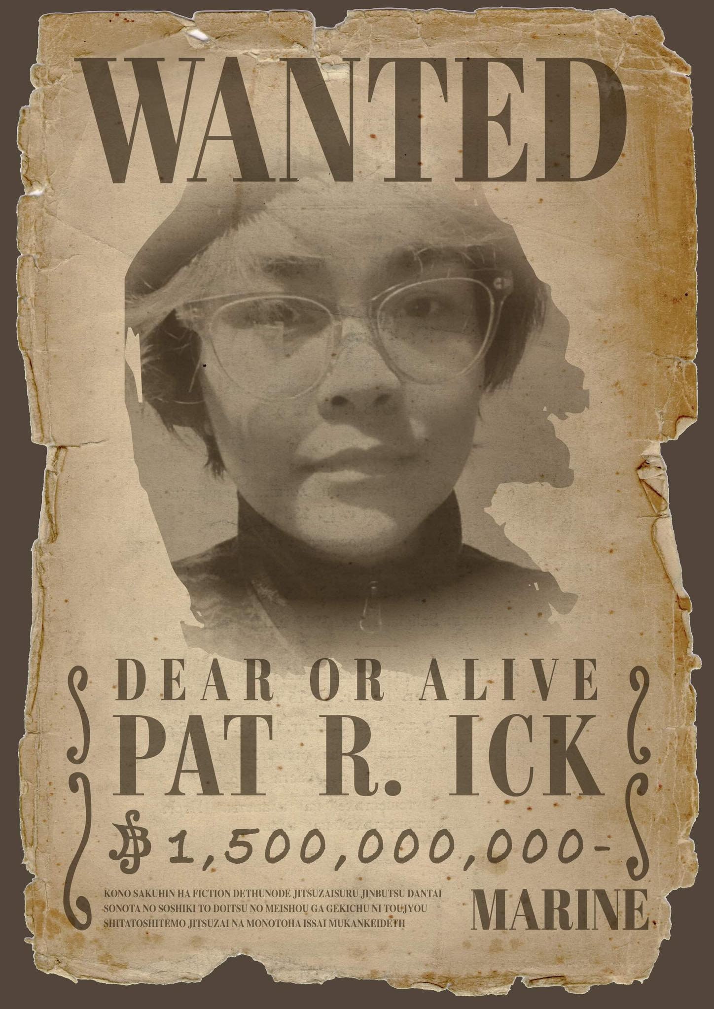 One Piece-inspired Wanted Poster Customized Personalized Made-for-you ...