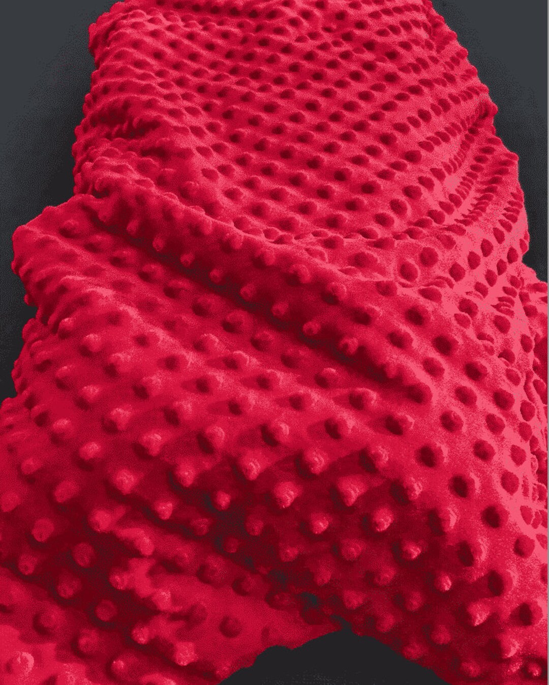 Red Minky Fabric - Etsy