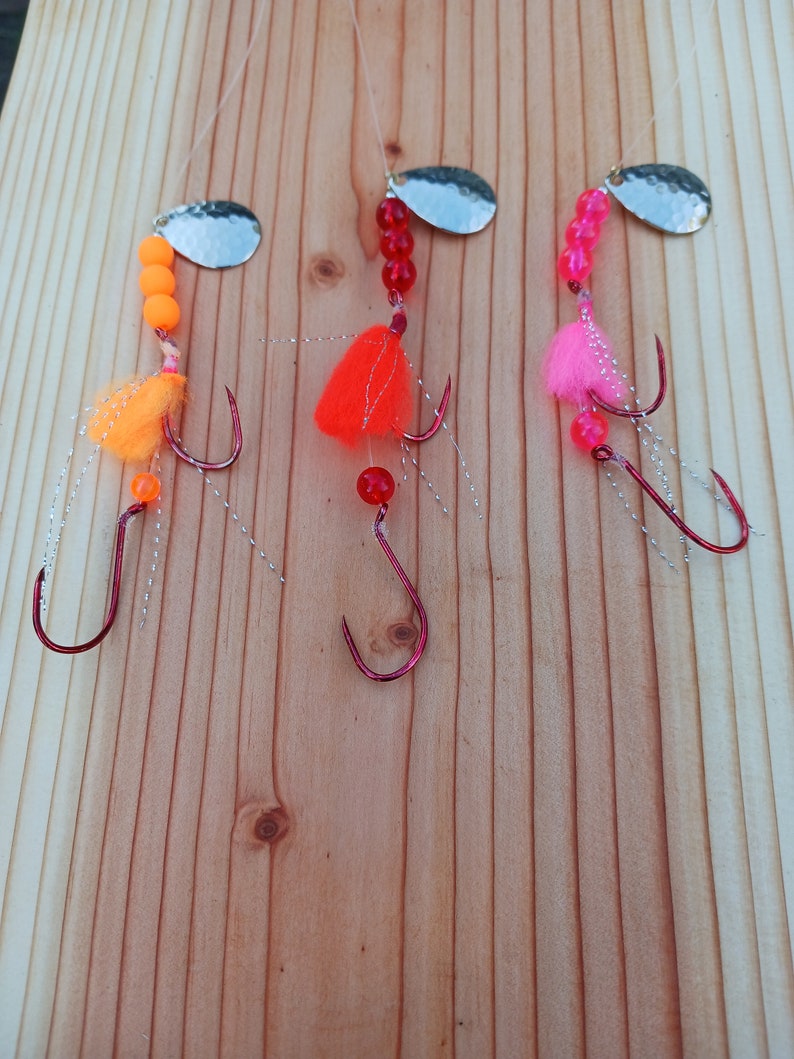 Chinook / Coho Roe Bug Spinner Fishing Lure - Etsy