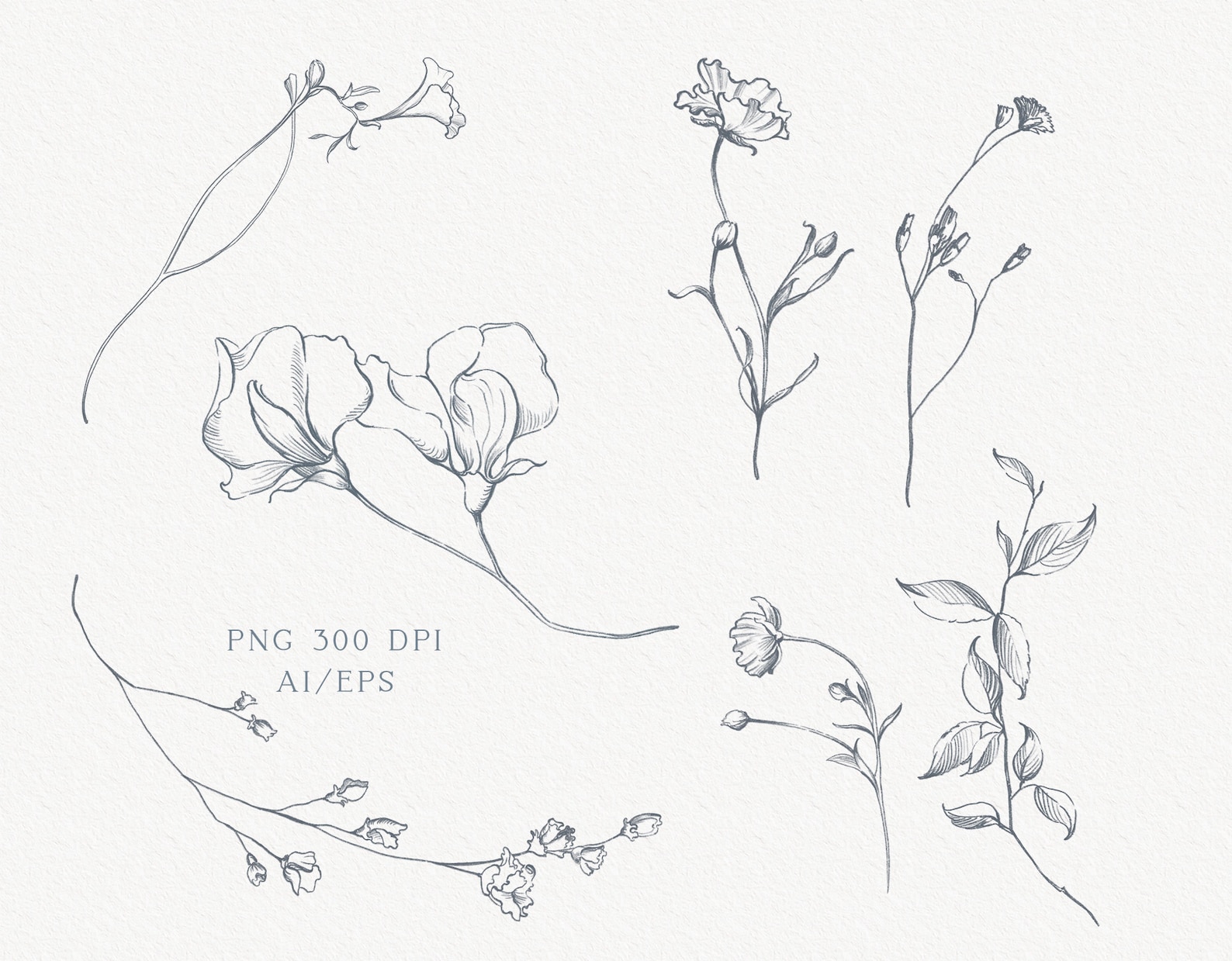 Floral Fine Line Art Minimalistic Flower Ikebana Style - Etsy