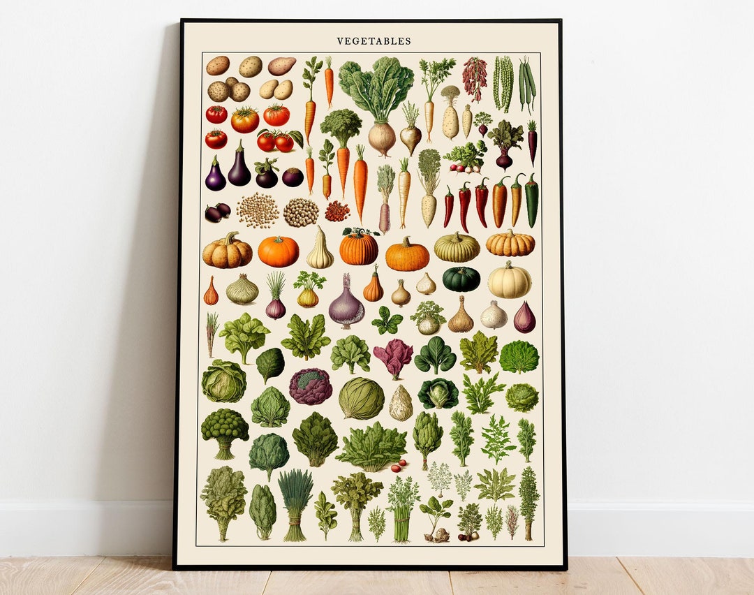 Vegetables Poster, Botanical Poster, Larousse Book Poster, Kitchen Wall ...
