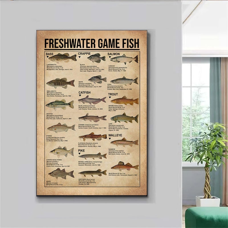 Fish Poster - Etsy