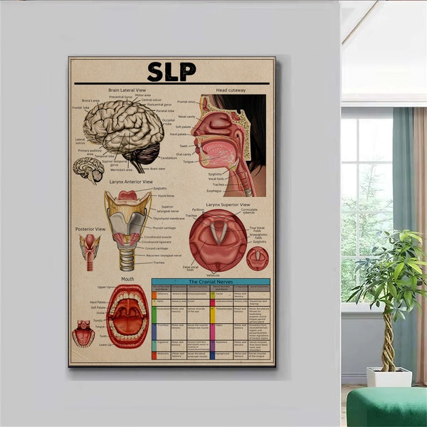 Speech Anatomy Art - Etsy
