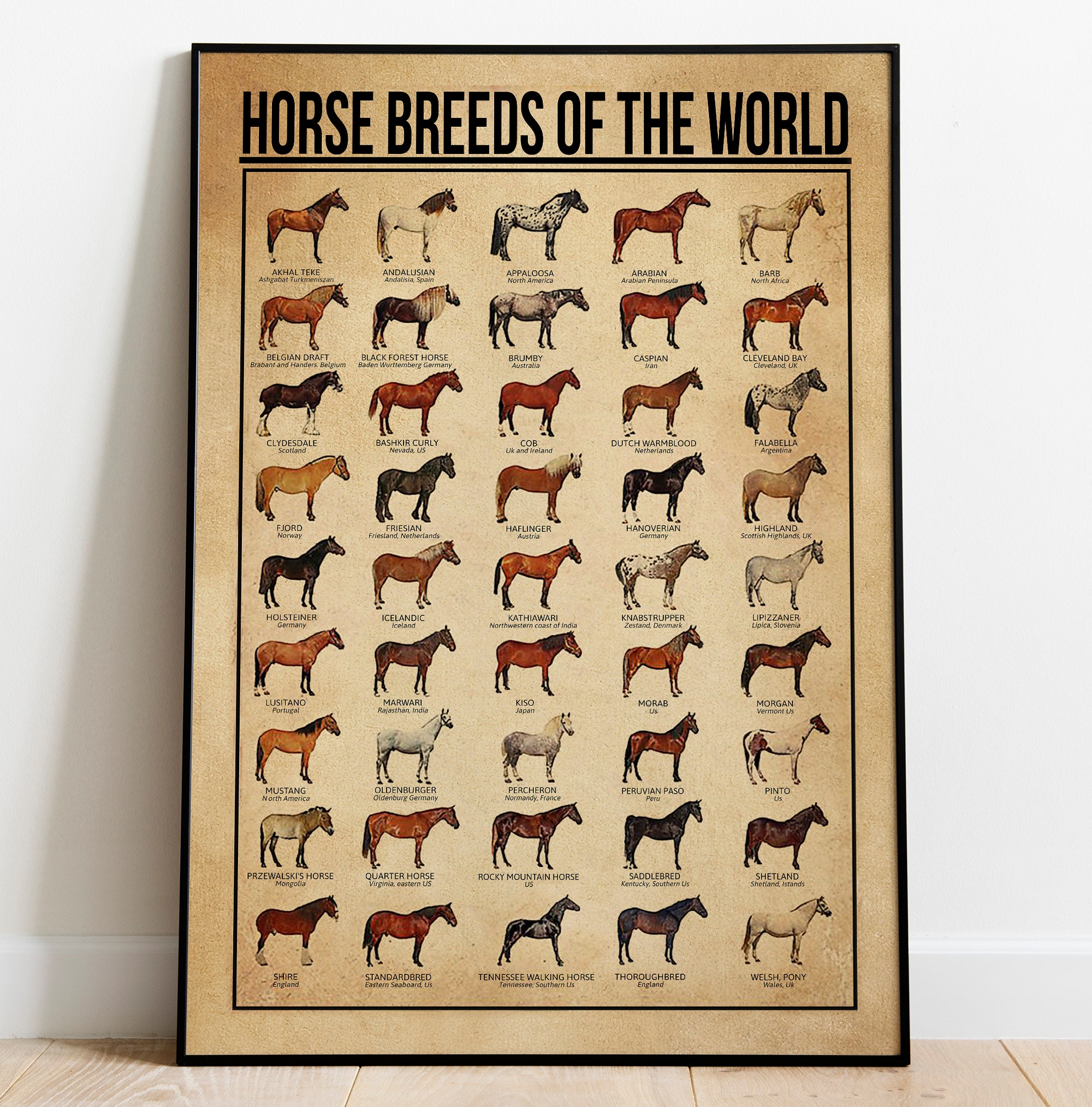 Horse Knowledge Poster Horse Lover Poster Horse Information - Etsy