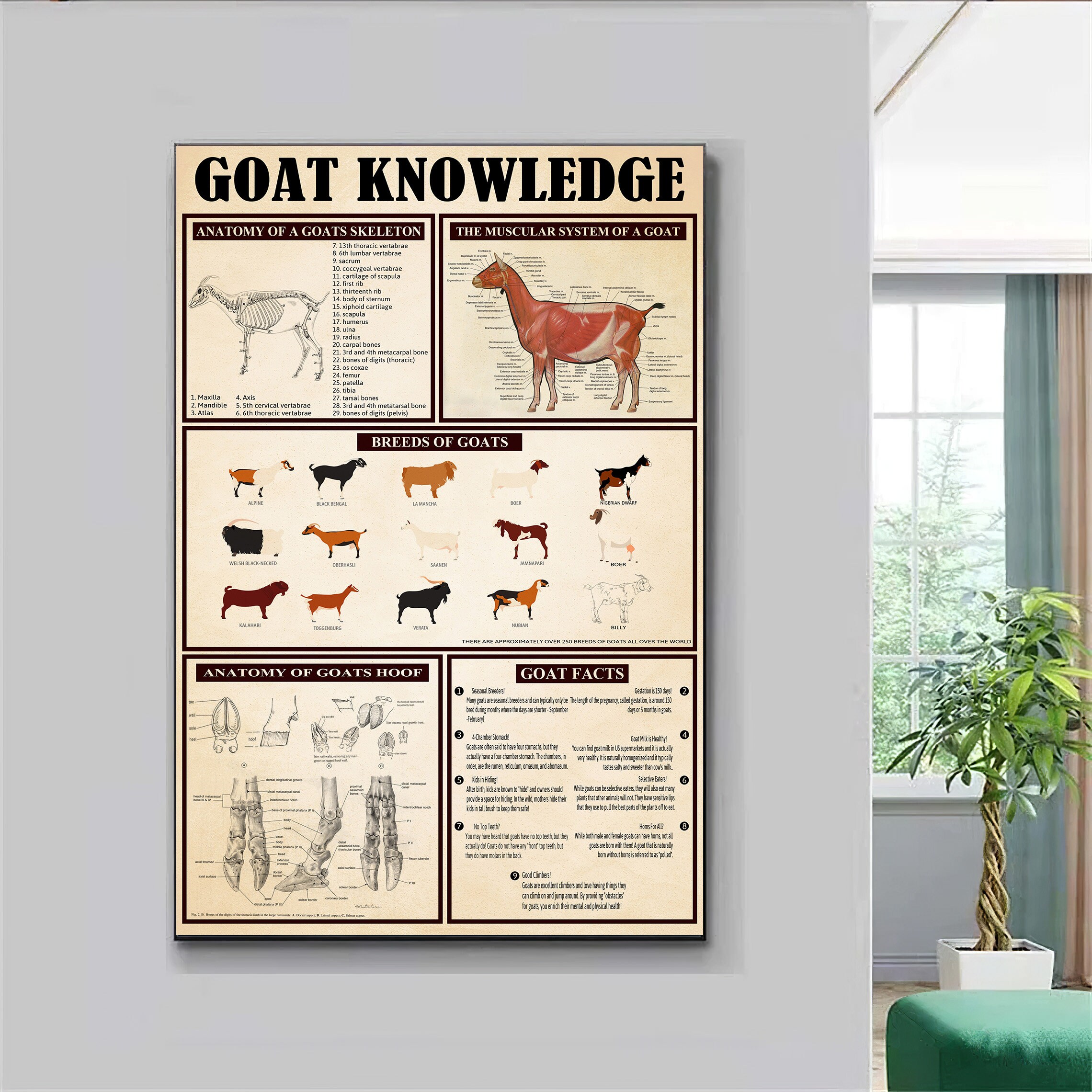 Goat Knowledge Poster Breeds of Goats Knowledge Poster Gift - Etsy