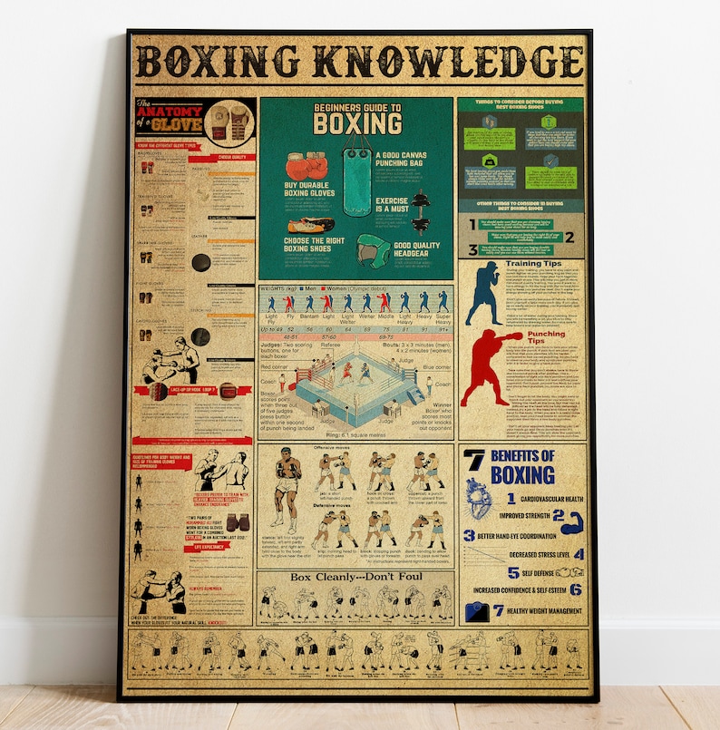 Boxing Anatomy Knowledge Poster Vintage Knowledge Poster - Etsy
