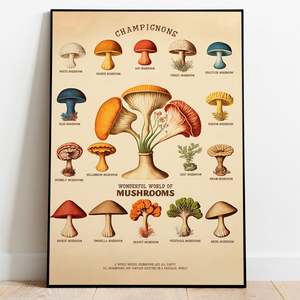 Fungi - Etsy