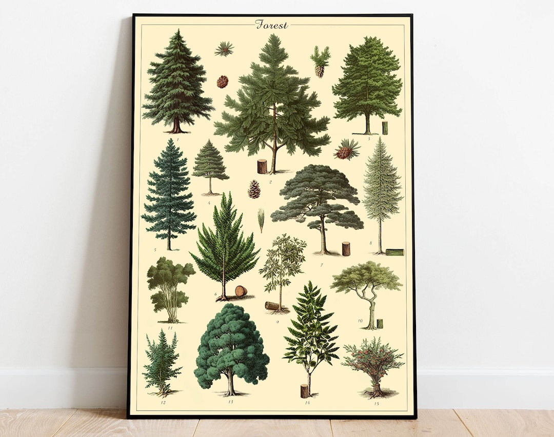 Forest Trees Poster, Forest Wall Art, Larousse Forest Poster, Pine ...