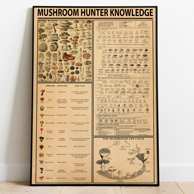 Mushroom Hunter - Etsy