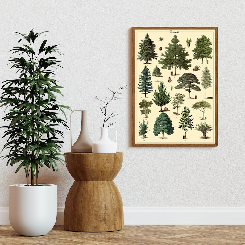Forest Trees Poster, Forest Wall Art, Larousse Forest Poster, Pine ...