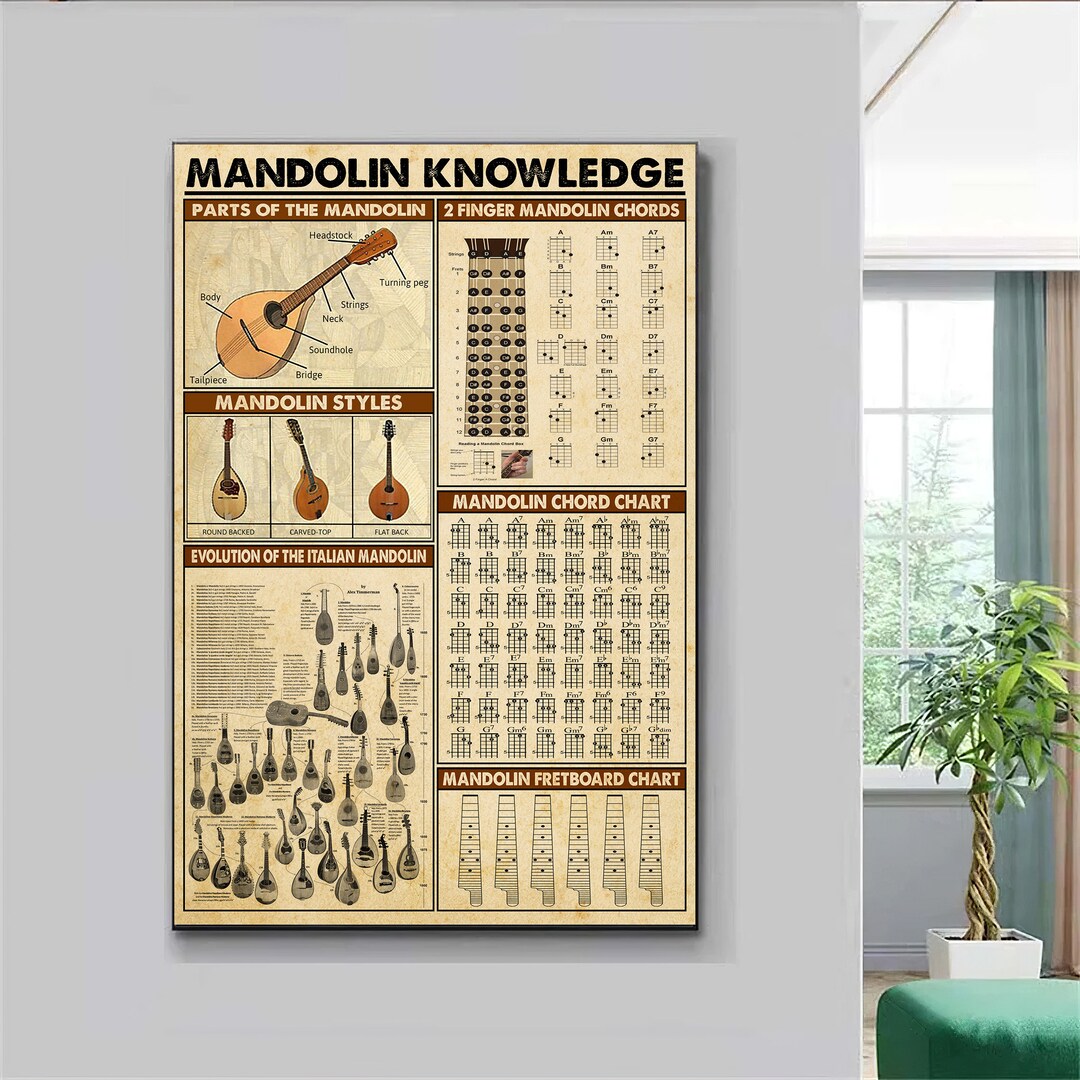 Mandolin Knowledge Poster, Gift for Mandolin Player, Country Music Art ...