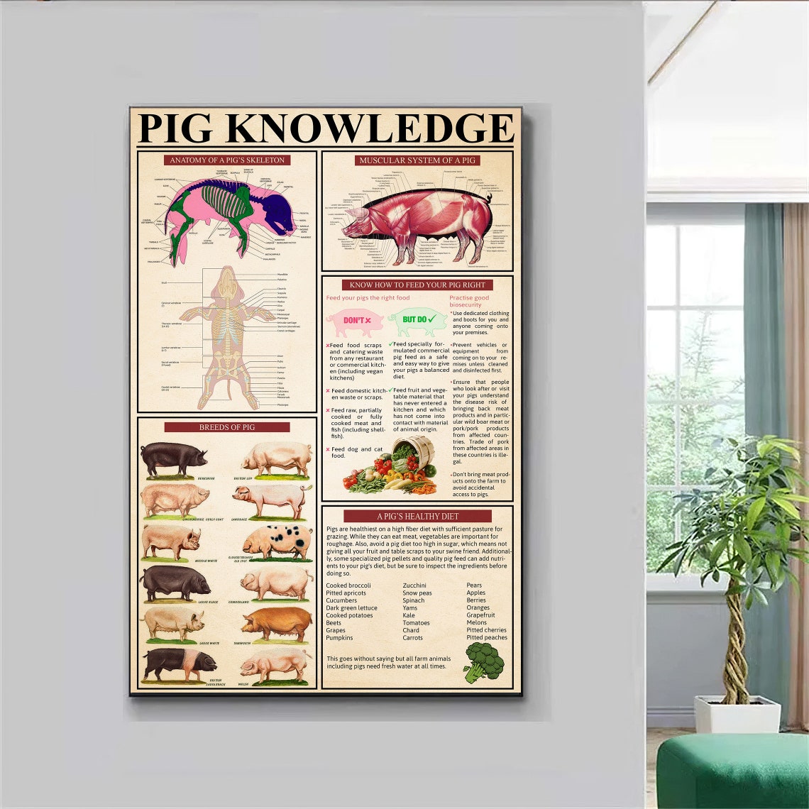 Pig Knowledge Poster, Pigs Lovers Poster, Breeds of Pigs Poster, Pigs ...