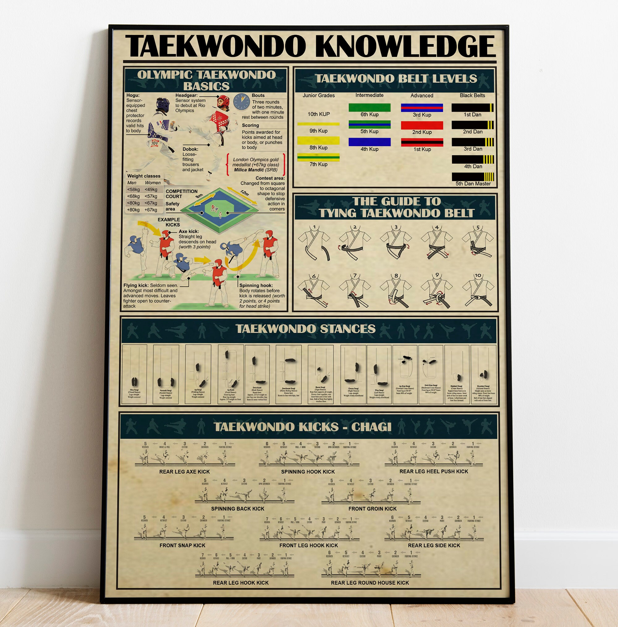 Taekwondo Knowledge Poster Vintage Knowledge Home Decor - Etsy