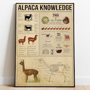 Alpaca Knowledge Poster, Alpaca Print, Llama Print, Farm Animal Alpacas ...