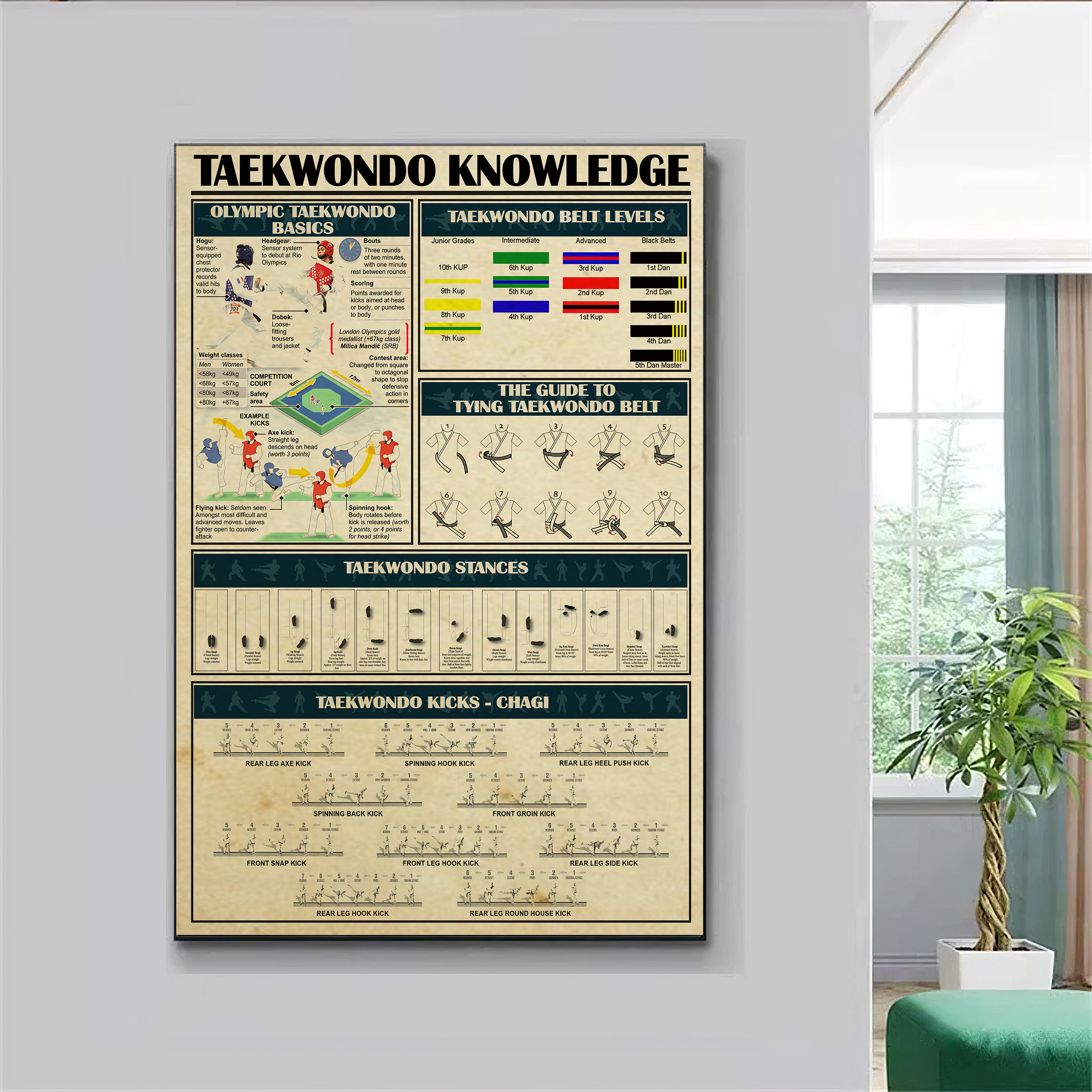 Taekwondo Knowledge Poster, Vintage Knowledge Home Decor, Taekwondo ...